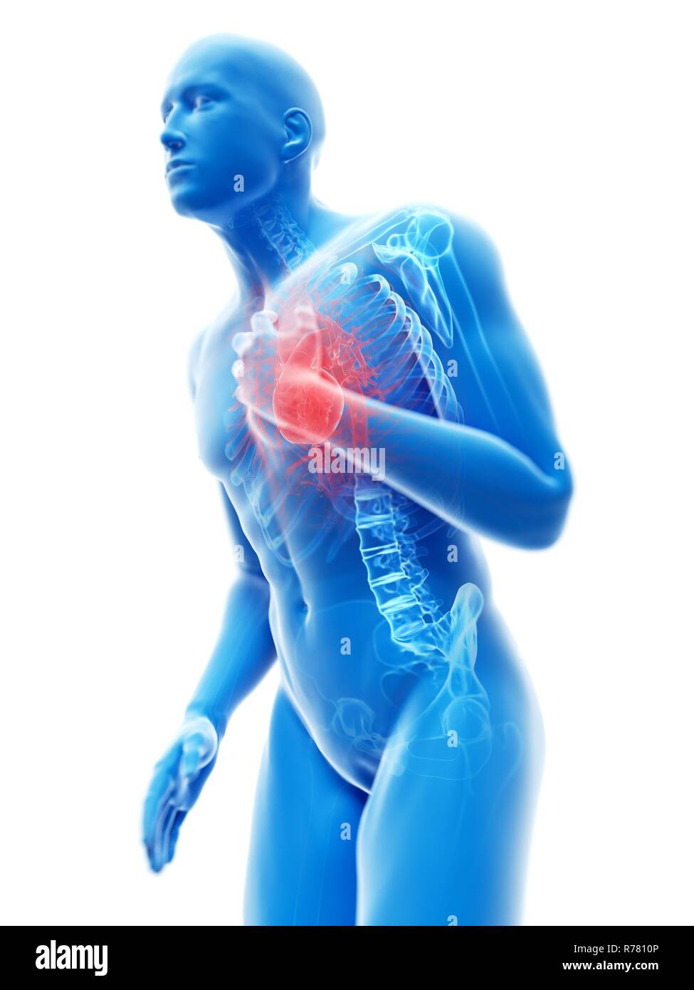 3d rendered illustration of a man with chest pain Stock Photo - Alamy