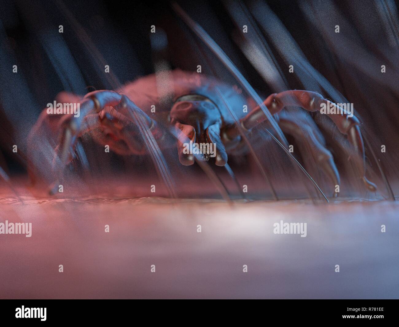 3d rendered illustration of a tick on human skin Stock Photo - Alamy