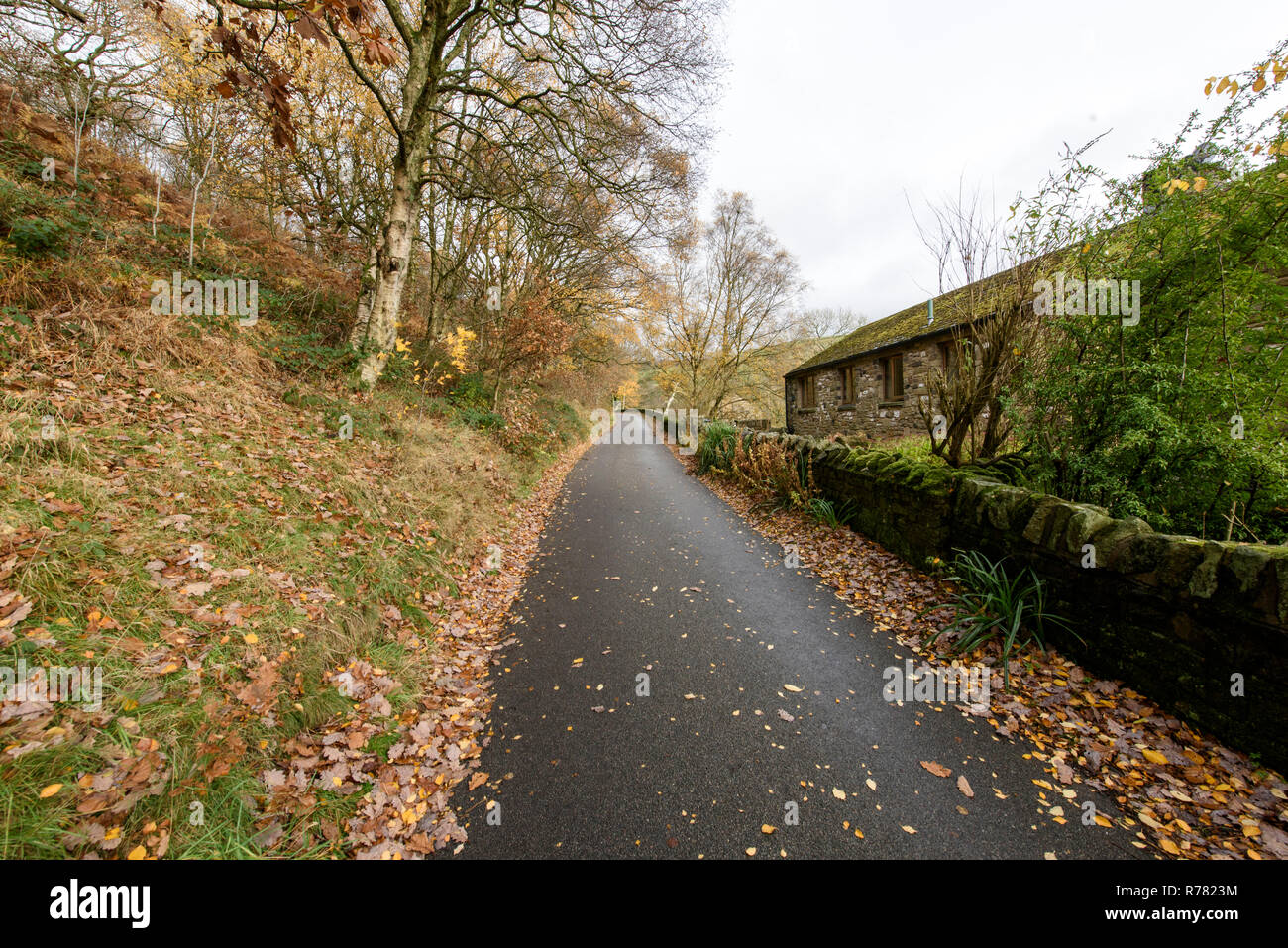 Hayfield road hi-res stock photography and images - Alamy