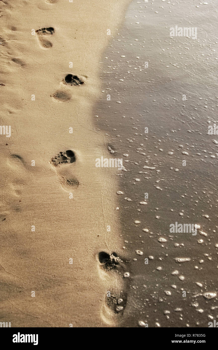 summer vacation walk on beach Stock Photo - Alamy