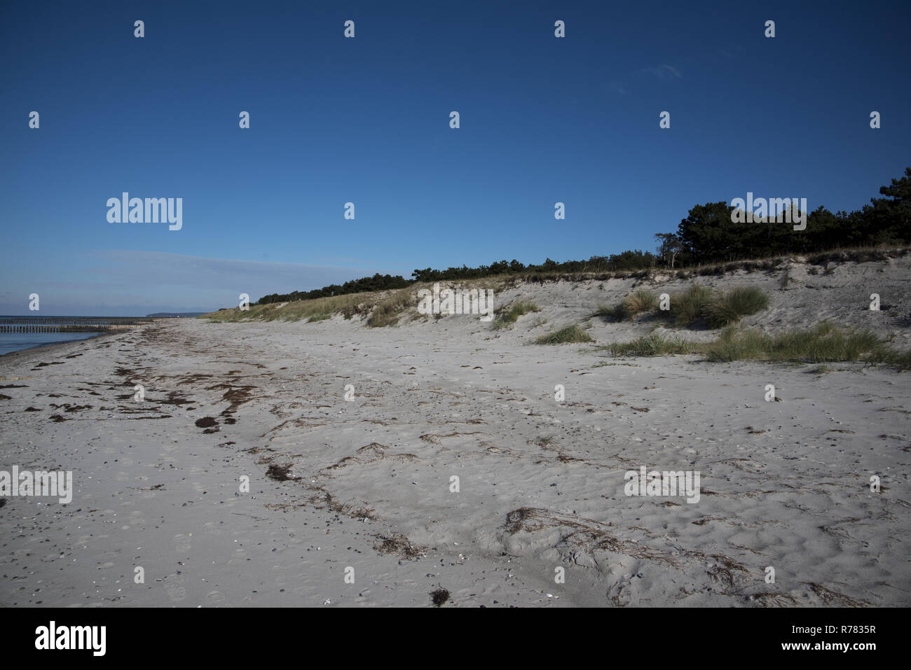 Hiddensee insel hi-res stock photography and images - Alamy
