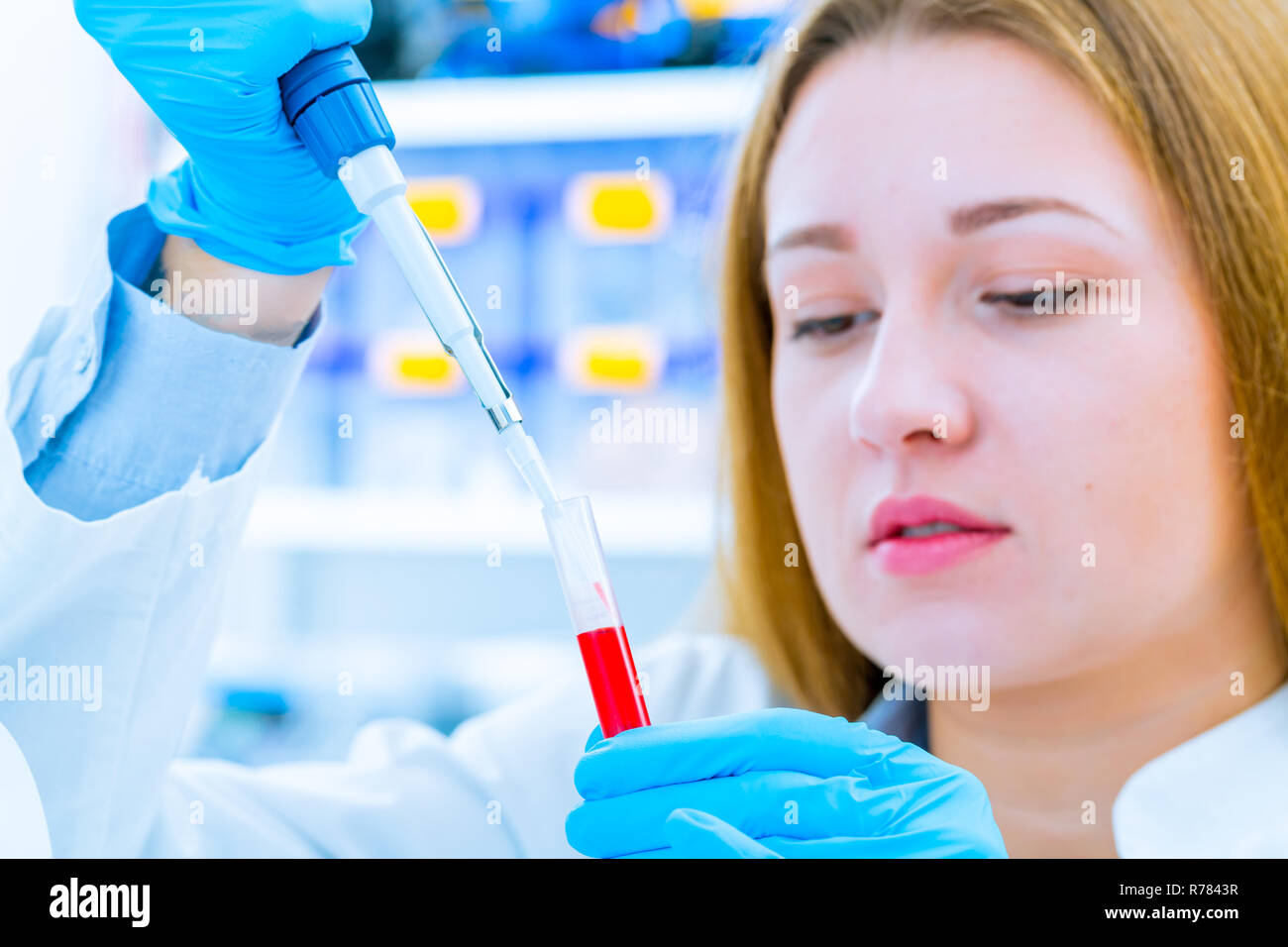 Girl lab technician at the clinic's microbiology laboratory Stock Photo ...
