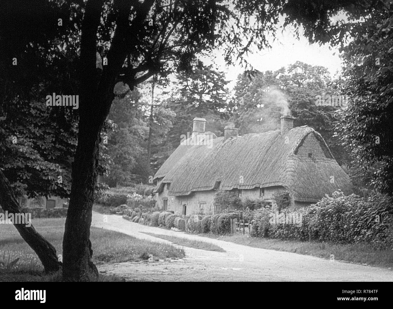 Tuit or tew it Black and White Stock Photos & Images - Alamy