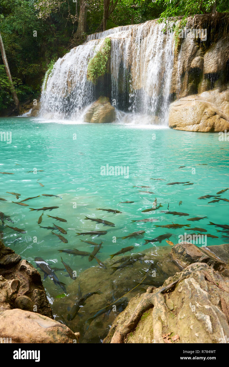 Second tier hi-res stock photography and images - Alamy