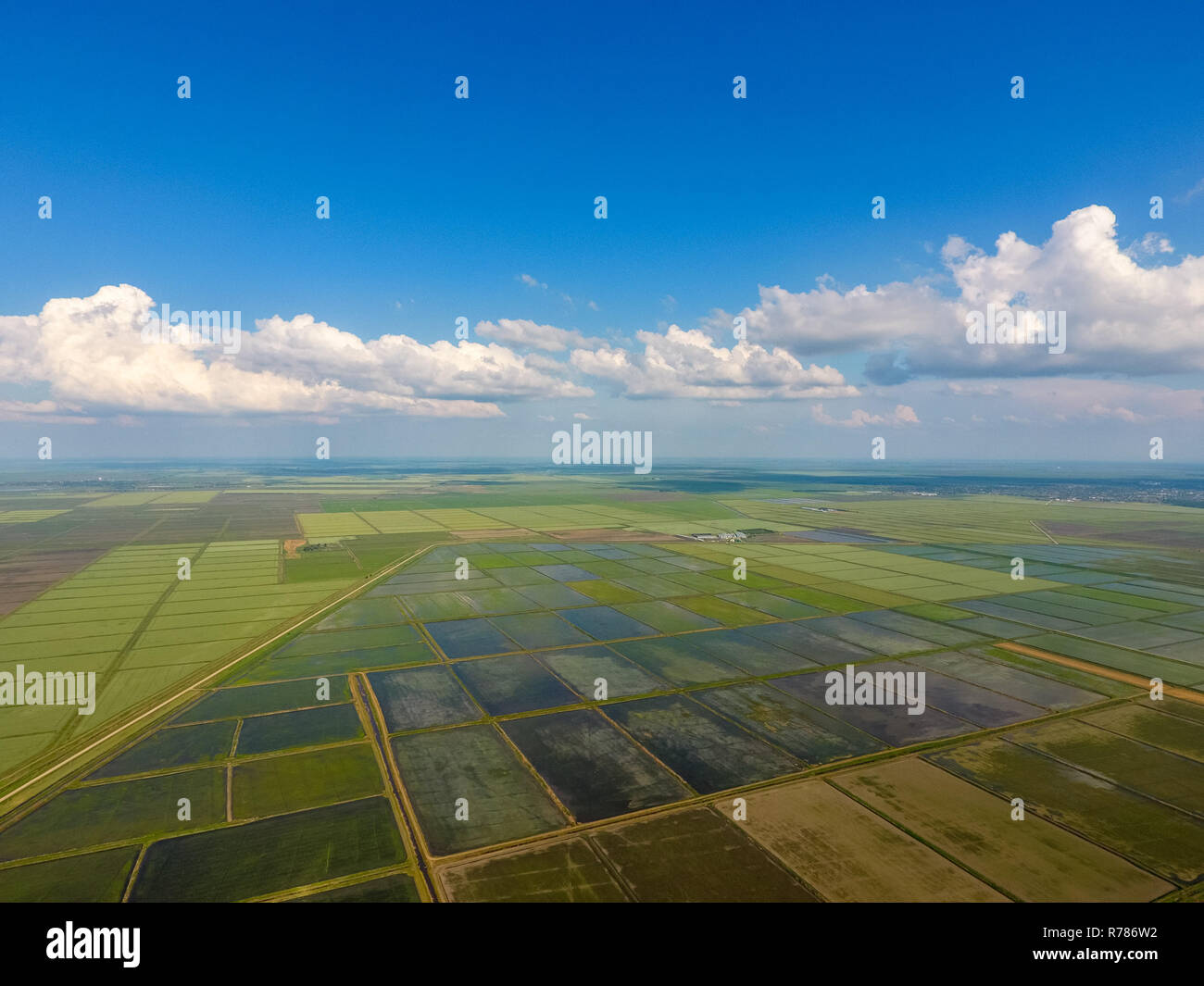 The rice fields are flooded with water. Flooded rice paddies. Agronomic ...