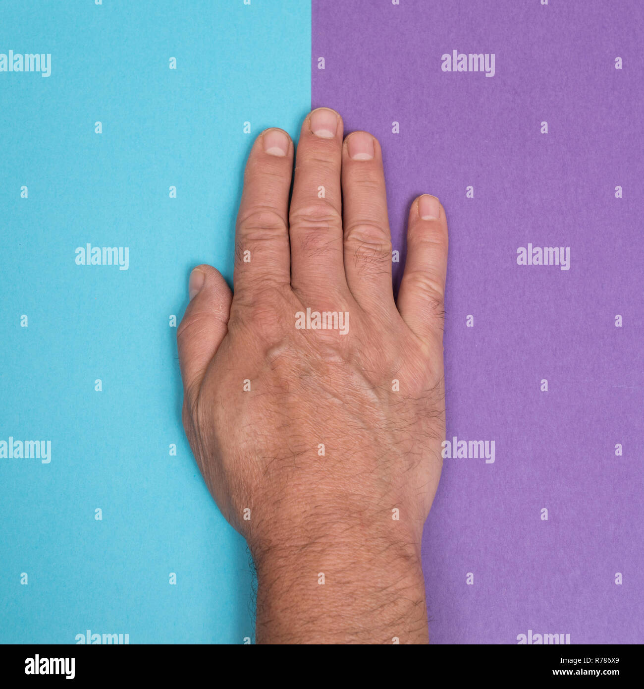 Study indicate show hand hi-res stock photography and images - Alamy