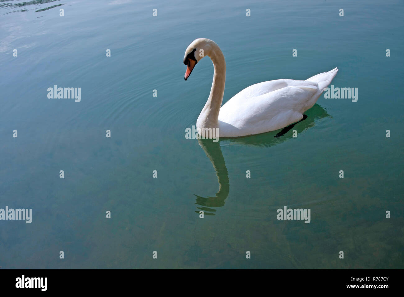 Tranquil waterflow hi-res stock photography and images - Alamy