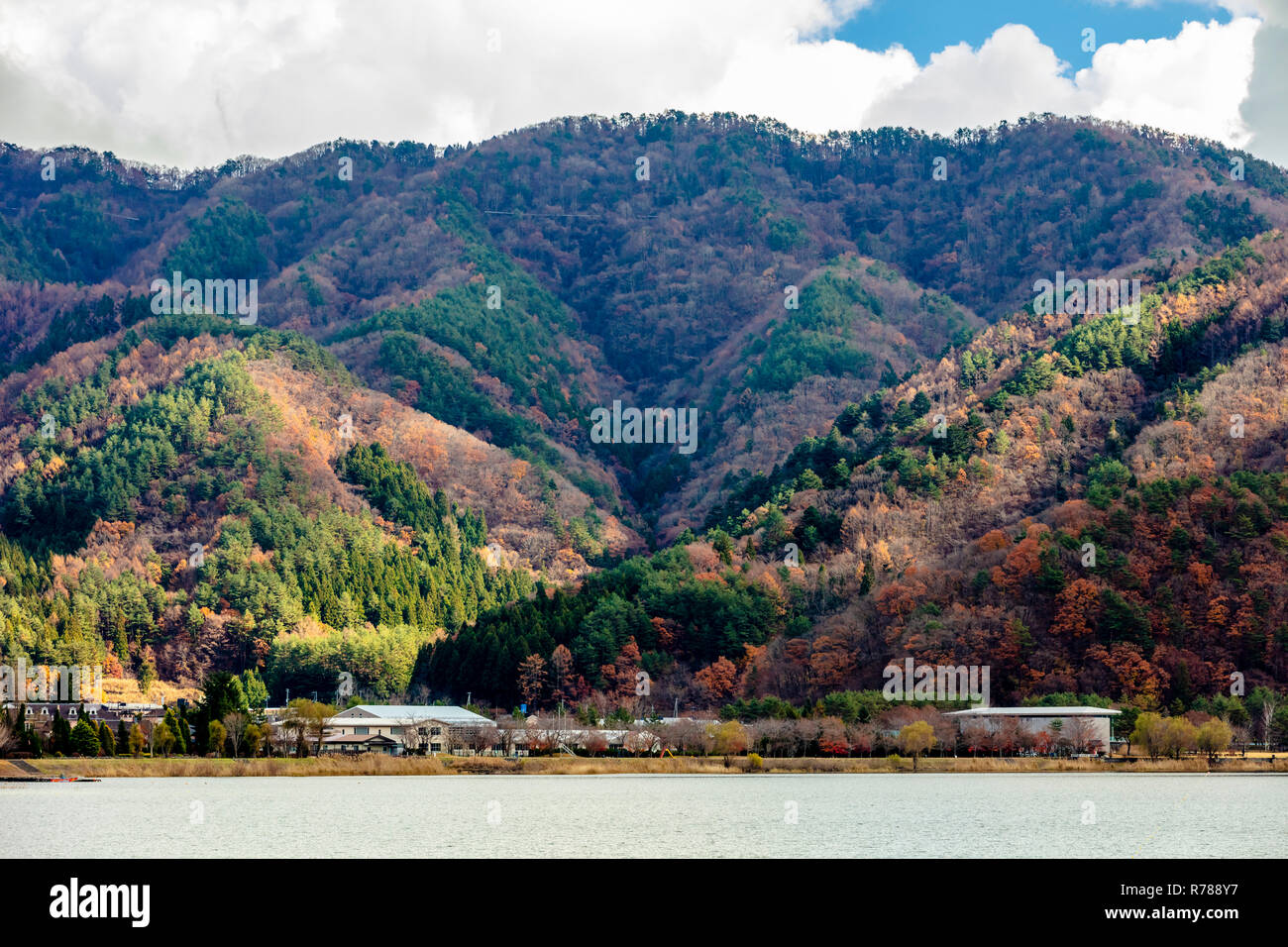 Fujikawaguchiko, Yamanashi / Japan - November 29 2018: Autumn scenie ...