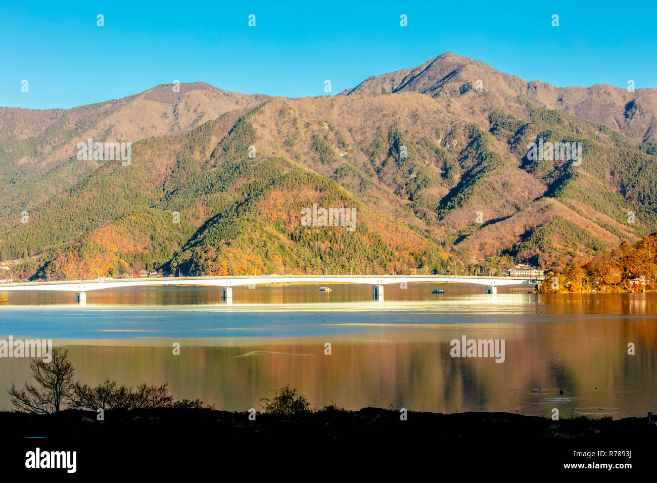 Fujikawaguchiko, Yamanashi / Japan - November 29 2018: Autumn scenie ...