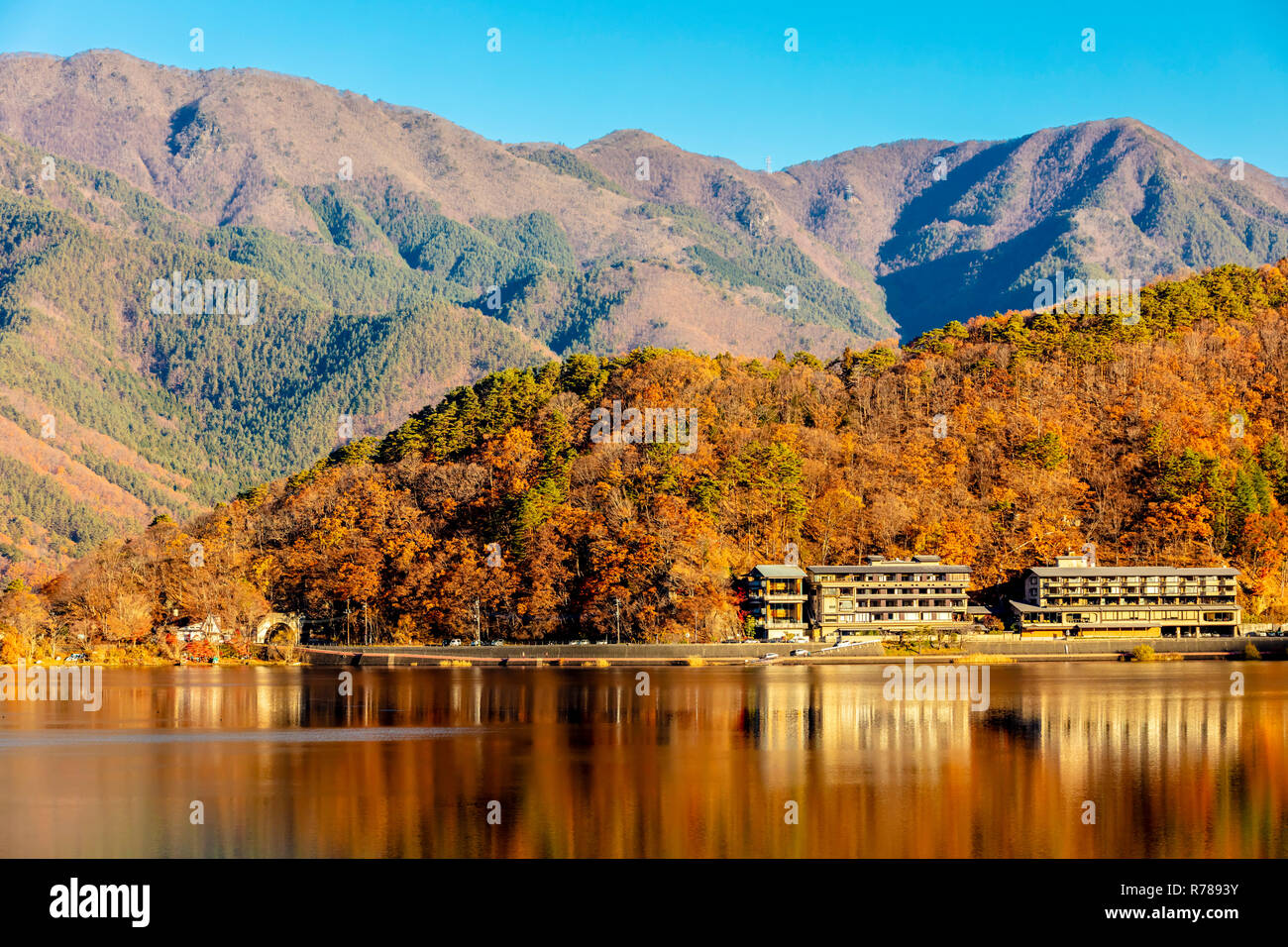 Fujikawaguchiko, Yamanashi / Japan - November 29 2018: Autumn scenie ...
