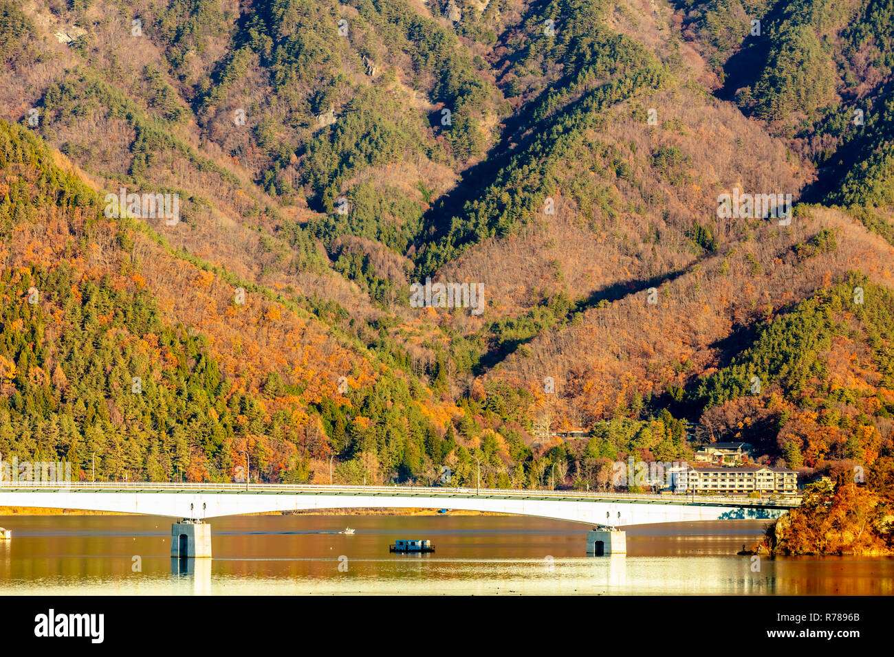 Fujikawaguchiko, Yamanashi / Japan - November 29 2018: Autumn scenie ...