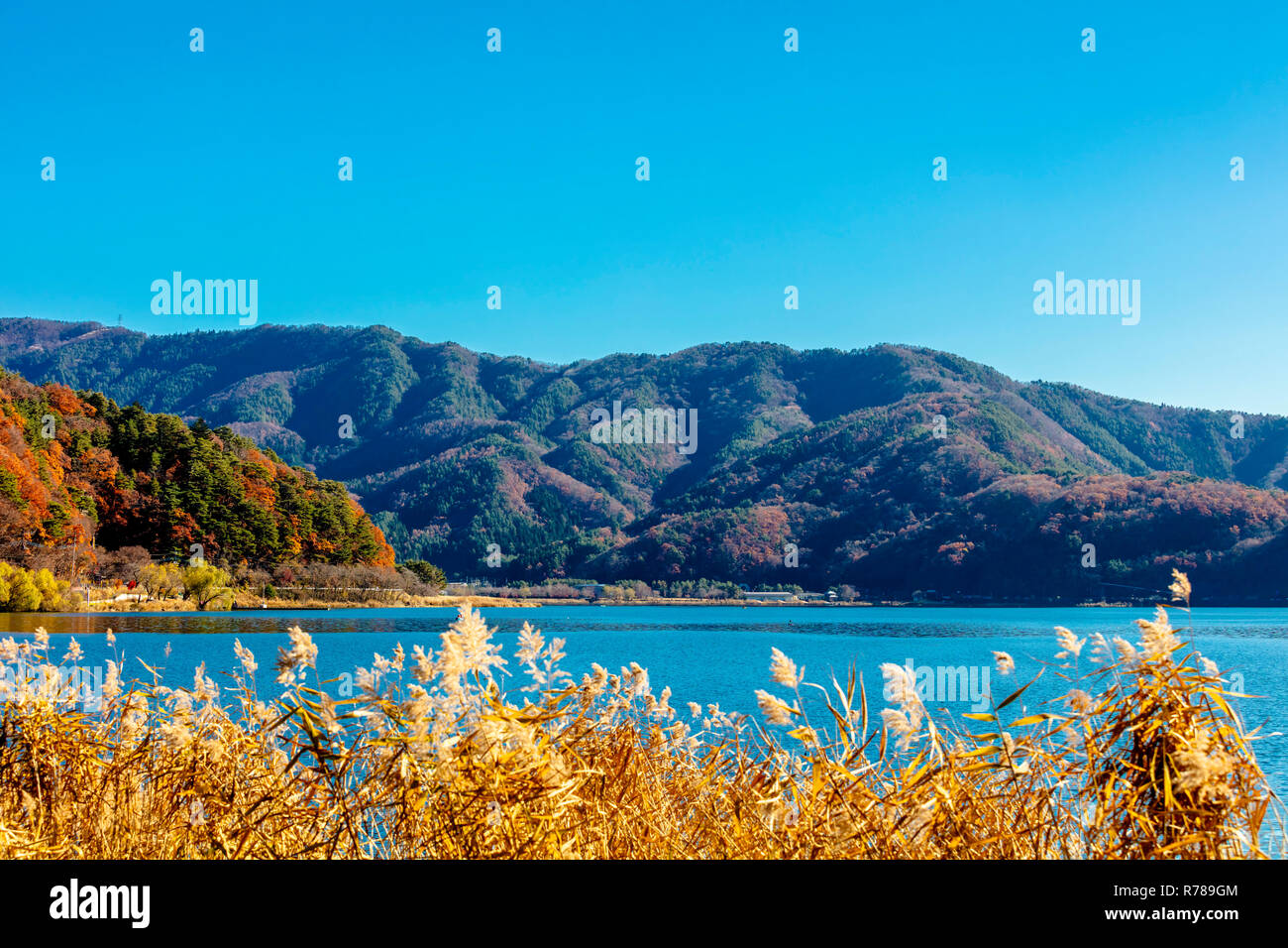 Kawaguchi park japan hi-res stock photography and images - Alamy