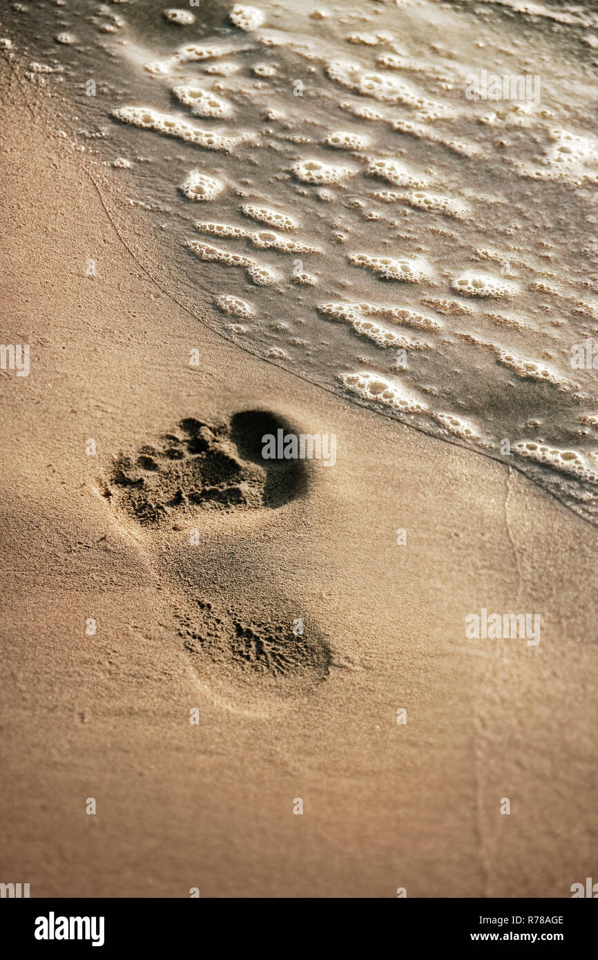 summer vacation walk on beach Stock Photo - Alamy