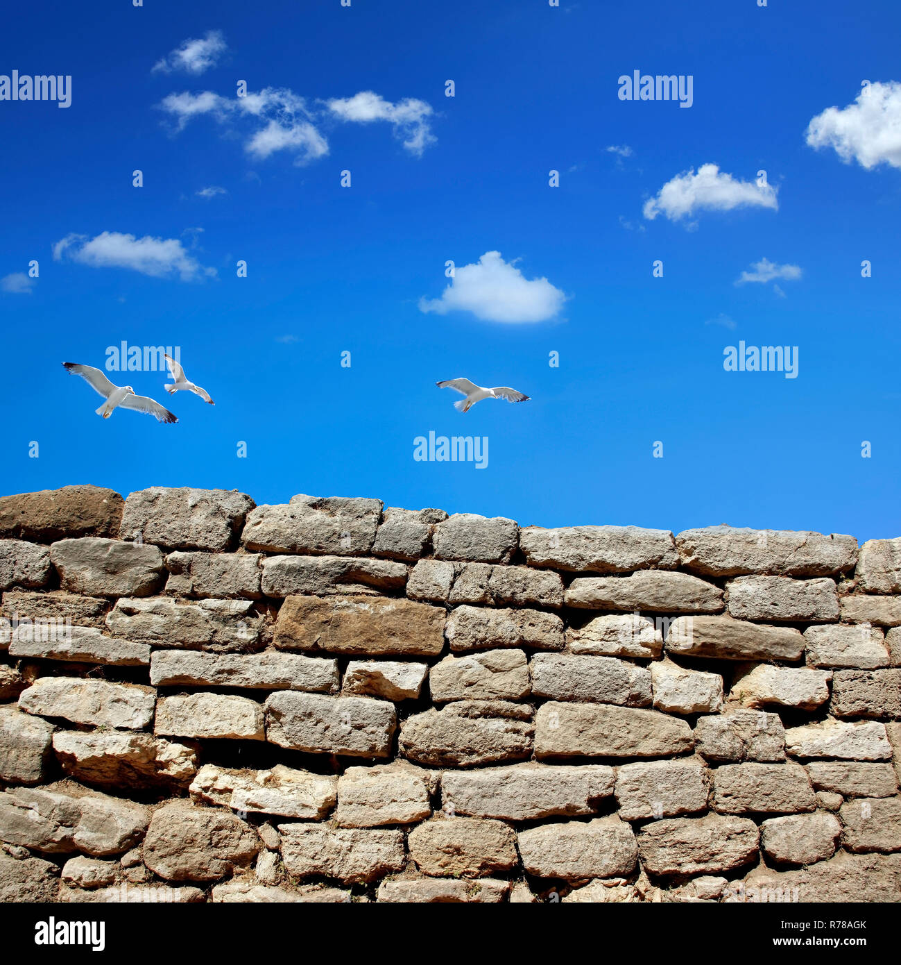 rock wall and flying birds Stock Photo - Alamy