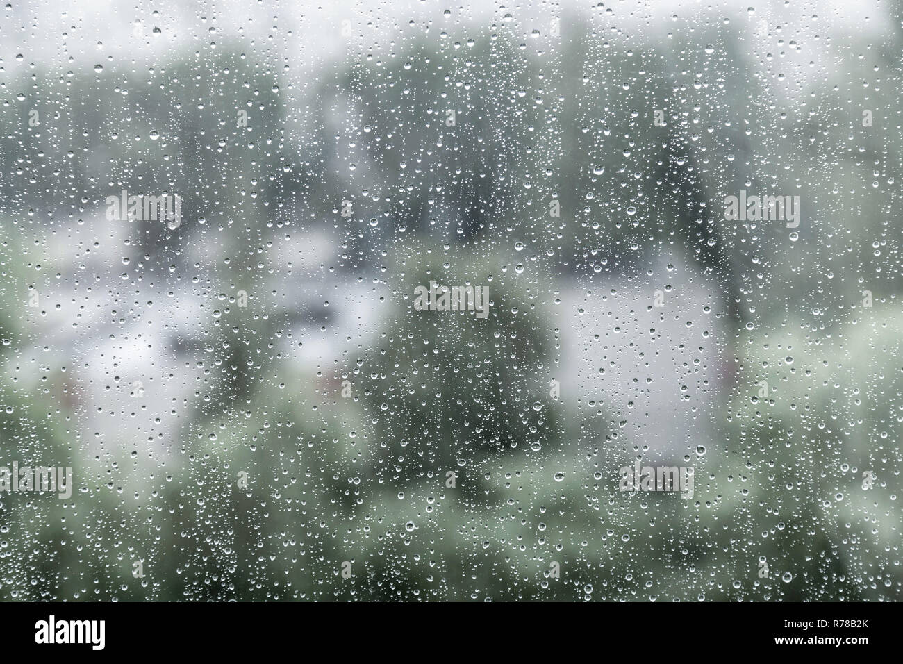 Rain drops on window. Beautiful background Stock Photo - Alamy