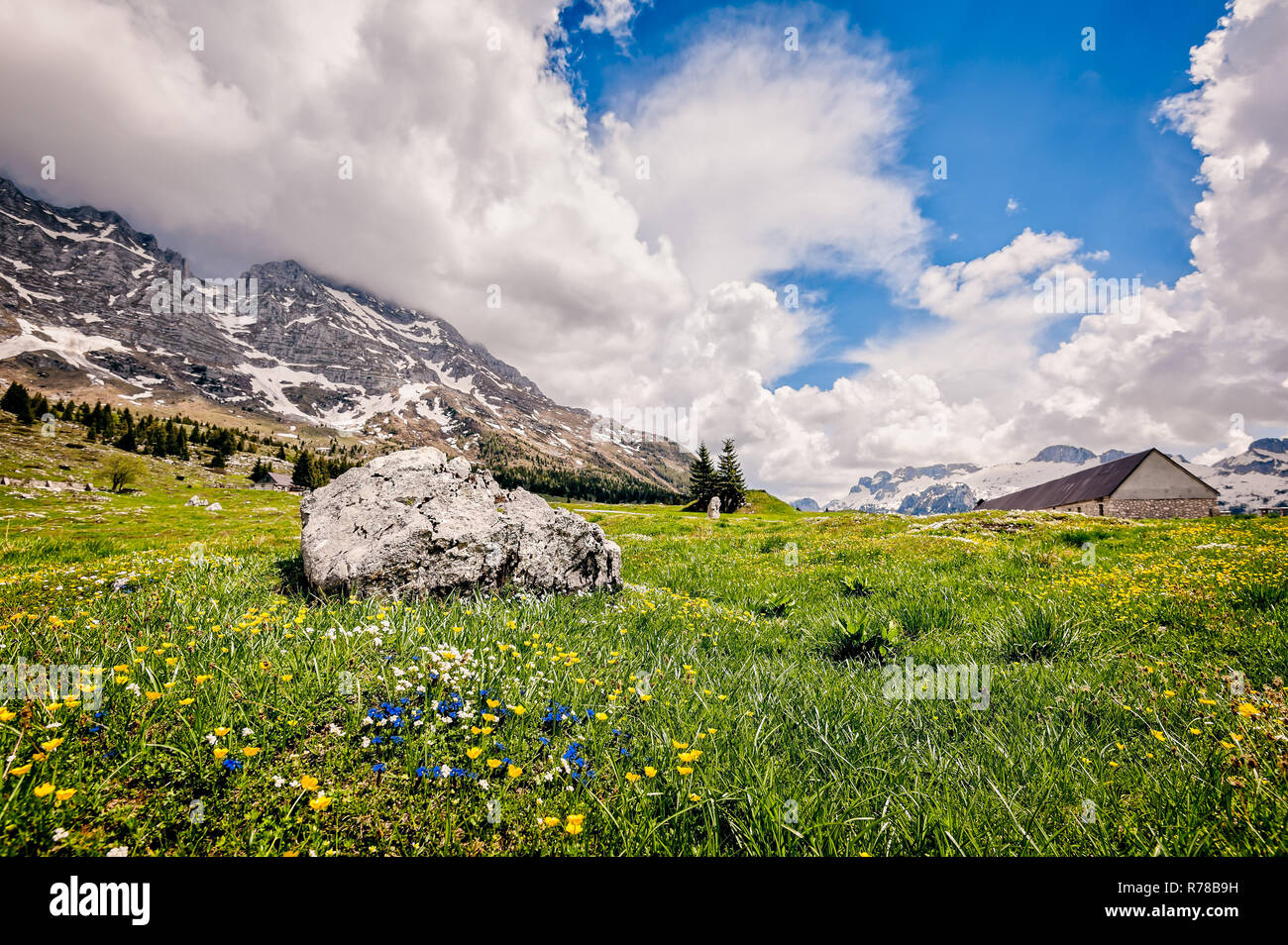 Plateau of Montasio. Mountain range landscape Stock Photo - Alamy