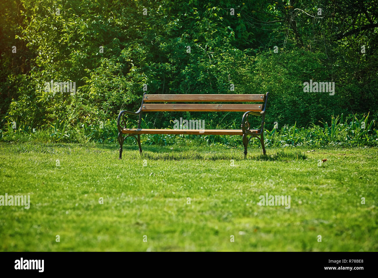 Bench in the Park Stock Photo - Alamy