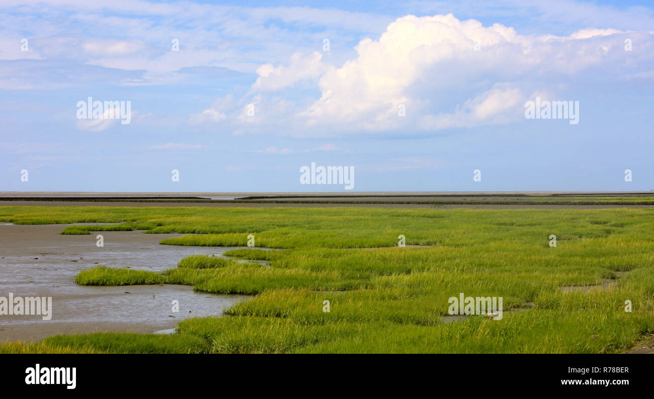 land reclamation on the north sea coast Stock Photo - Alamy