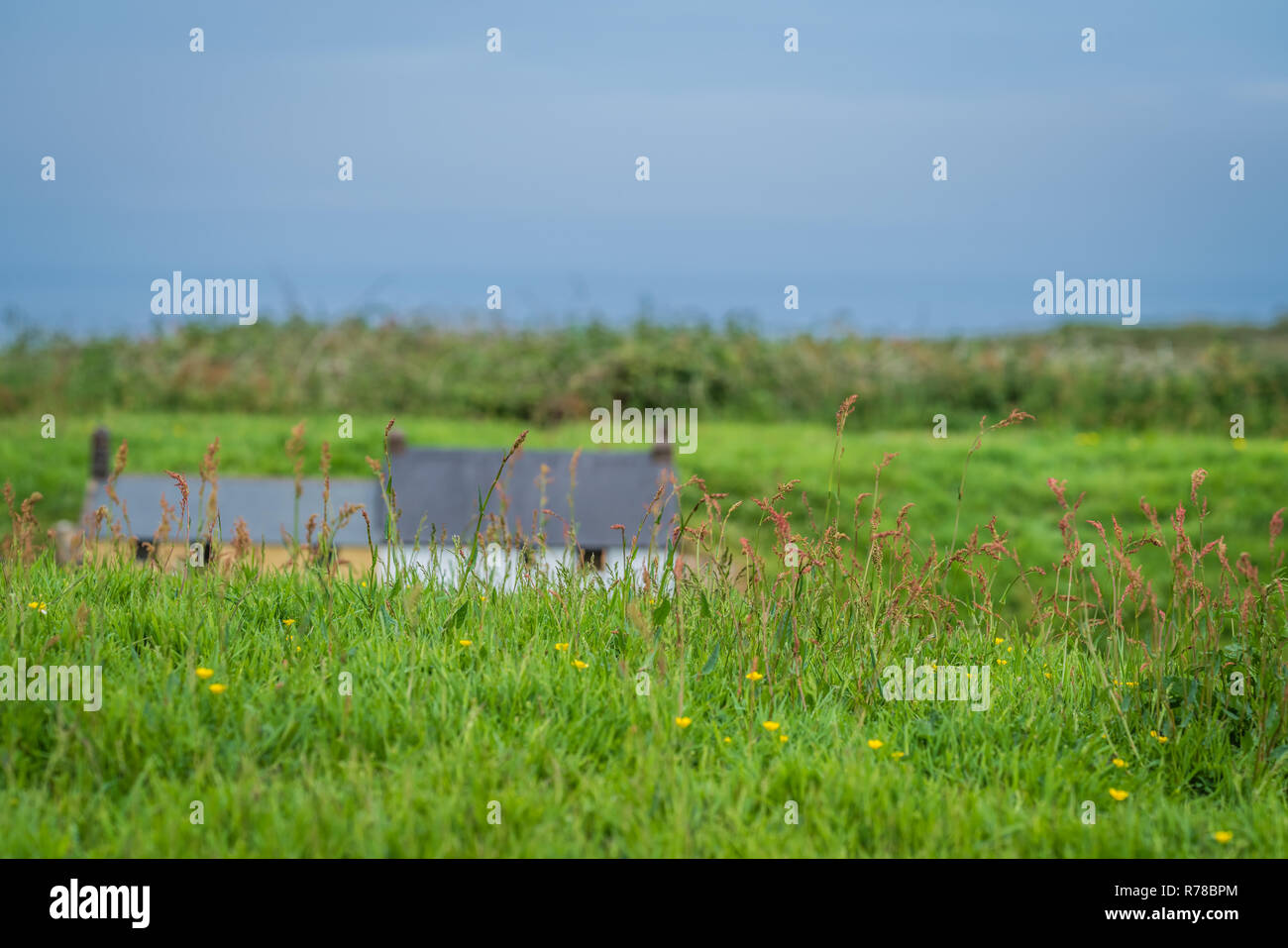Rural countryside landscape in Cornwall Stock Photo - Alamy