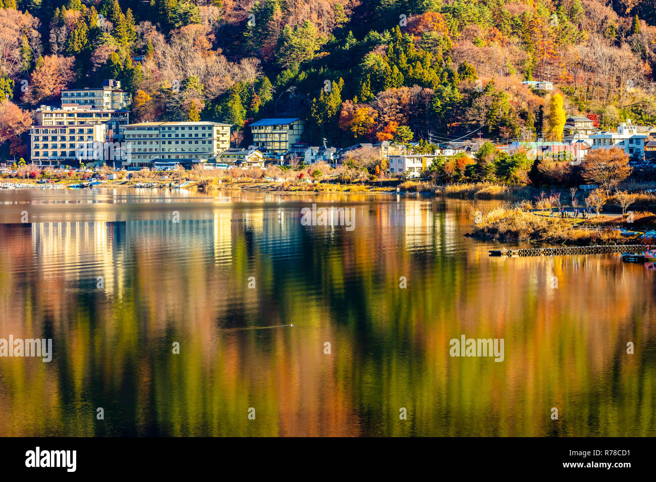 Fujikawaguchiko, Yamanashi / Japan - November 29 2018: Autumn scenie ...