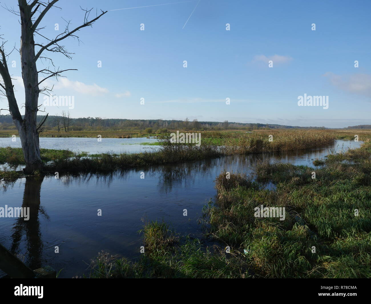autumn flood with flooded meadows Stock Photo - Alamy