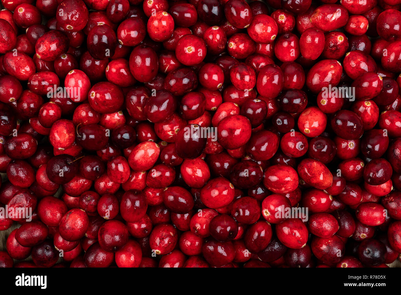 Cranberry. Cranberry background. Cranberries in water. Food background ...