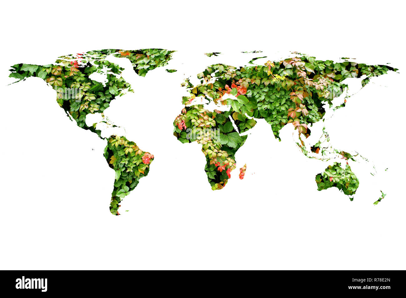 world map and leaves Stock Photo - Alamy