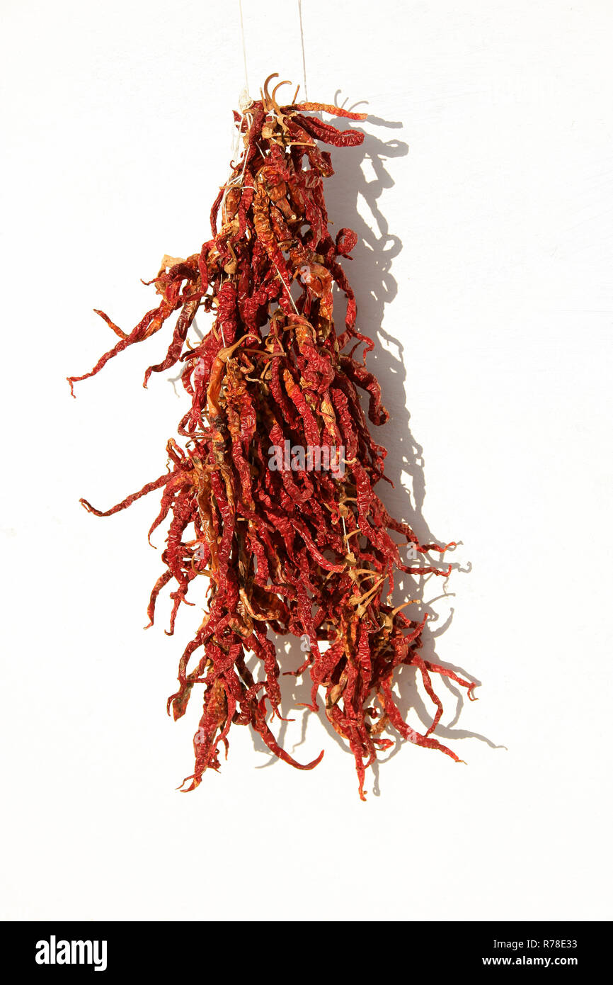 dried red peppers Stock Photo - Alamy