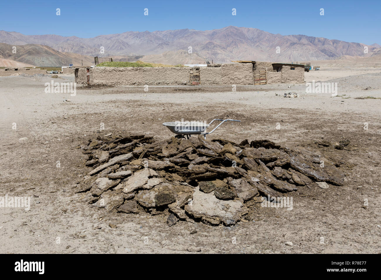 Dried cow dung in Bulunkul in Tajikistan. With the cow dung, the ...