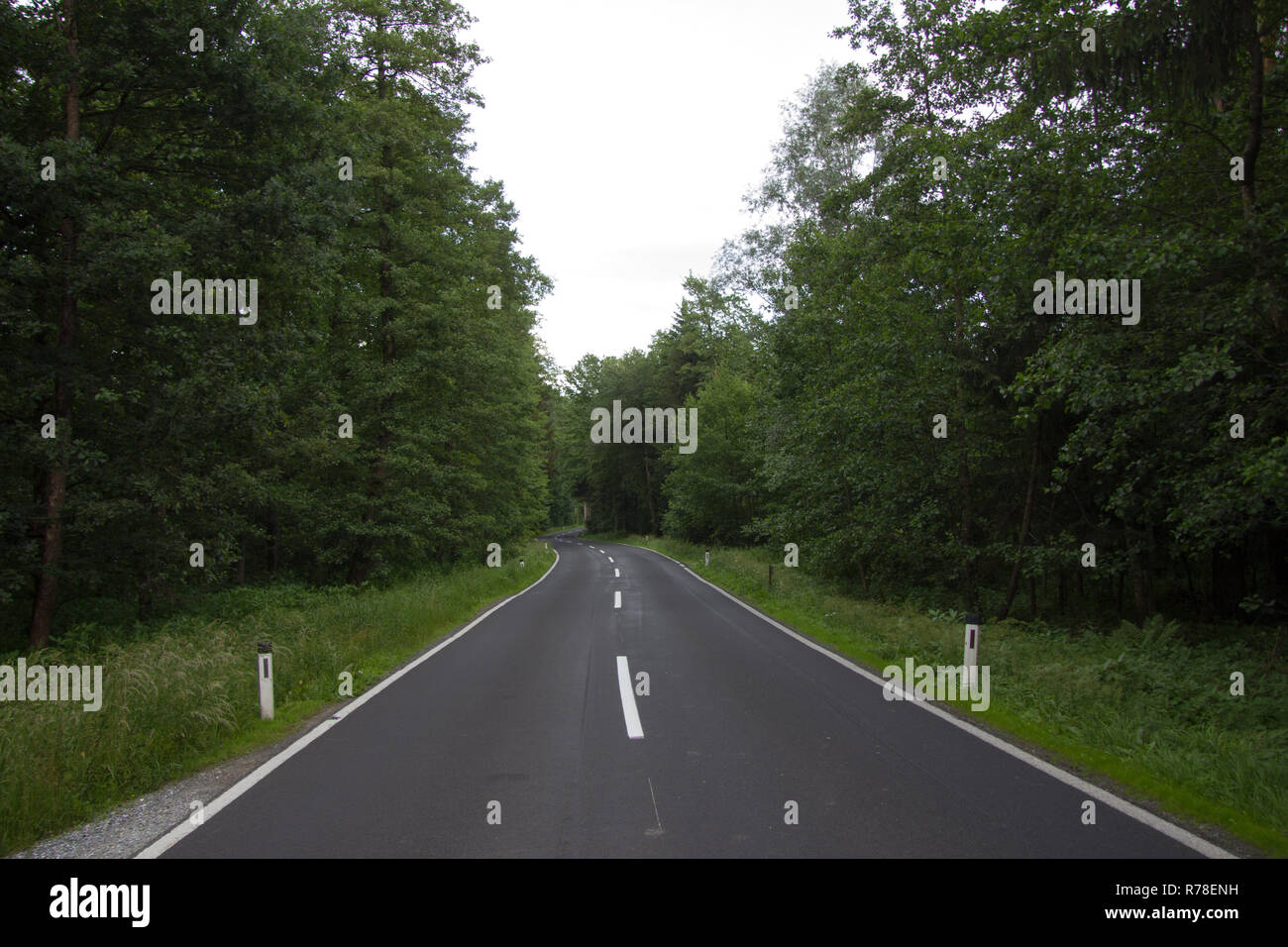 dry asphalted road with curve without vehicles through a forest in ...