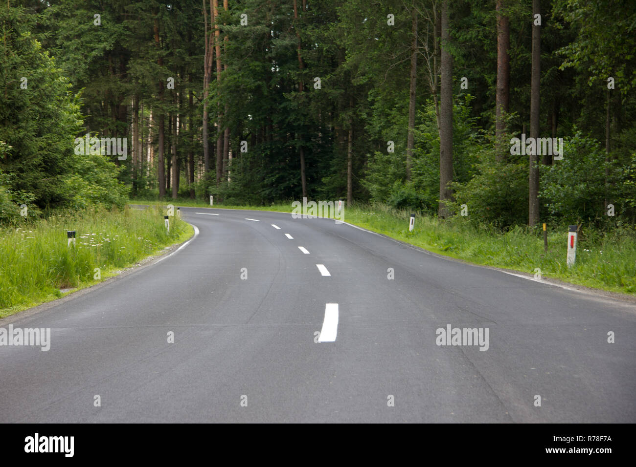 dry asphalted road with curve without vehicles through a forest in ...
