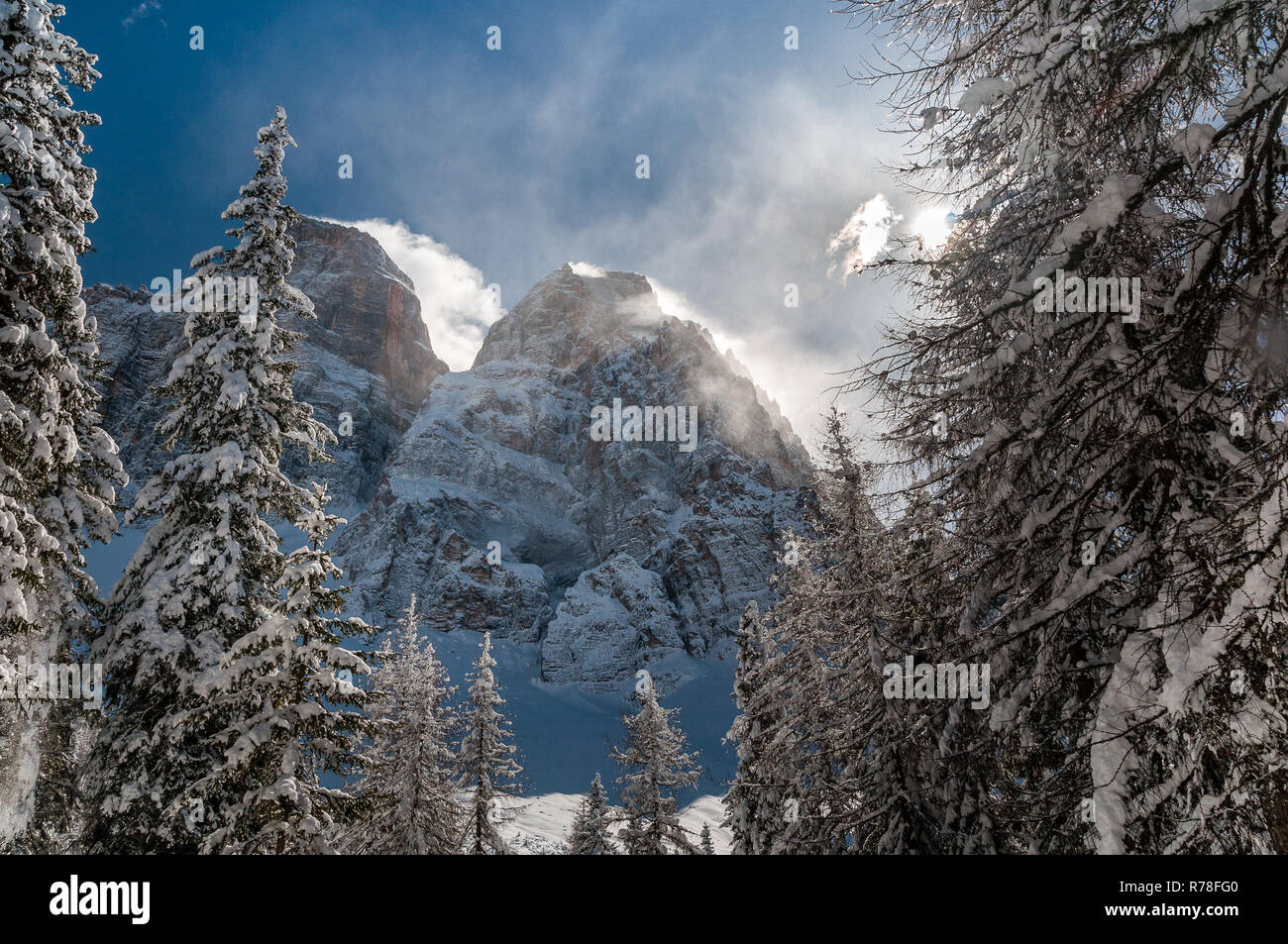 Winter view of Mount Pelmo that appears among the fir trees covered ...