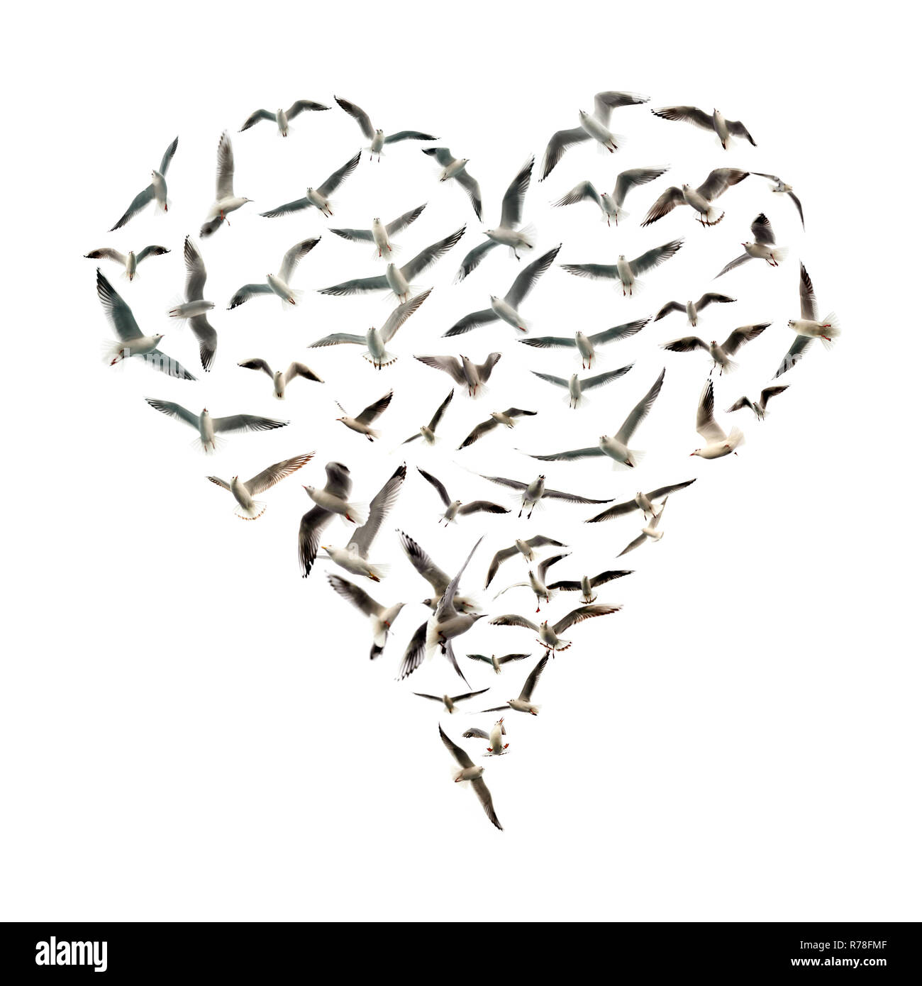 heart shape with birds flying Stock Photo - Alamy