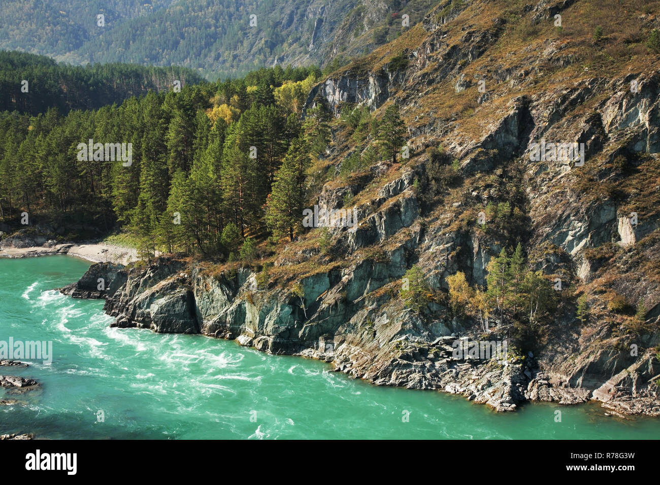 Katun river near Chemal village. Altai Republic. Russia Stock Photo - Alamy