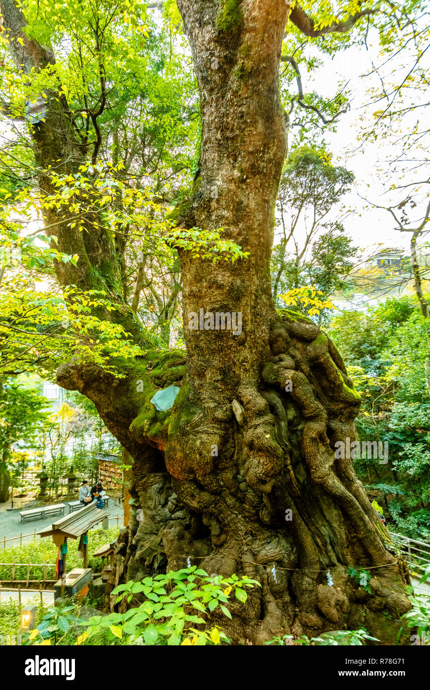 Zen garden shizuoka hi-res stock photography and images - Alamy