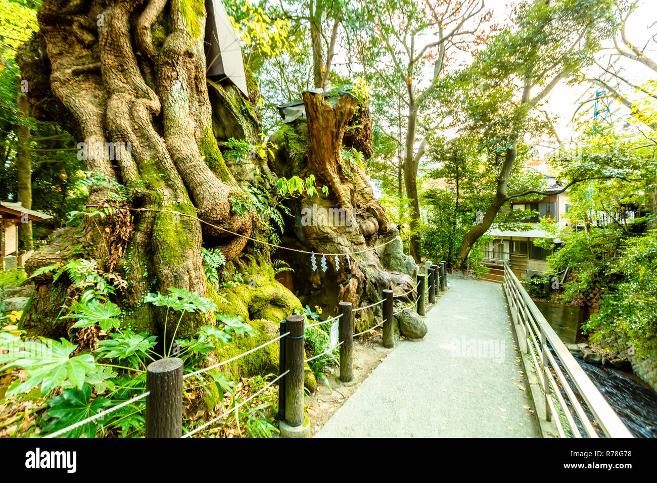 Atami, Shizuoka / Japan - December 1 2018: exterior Kinomiya Shrine ...