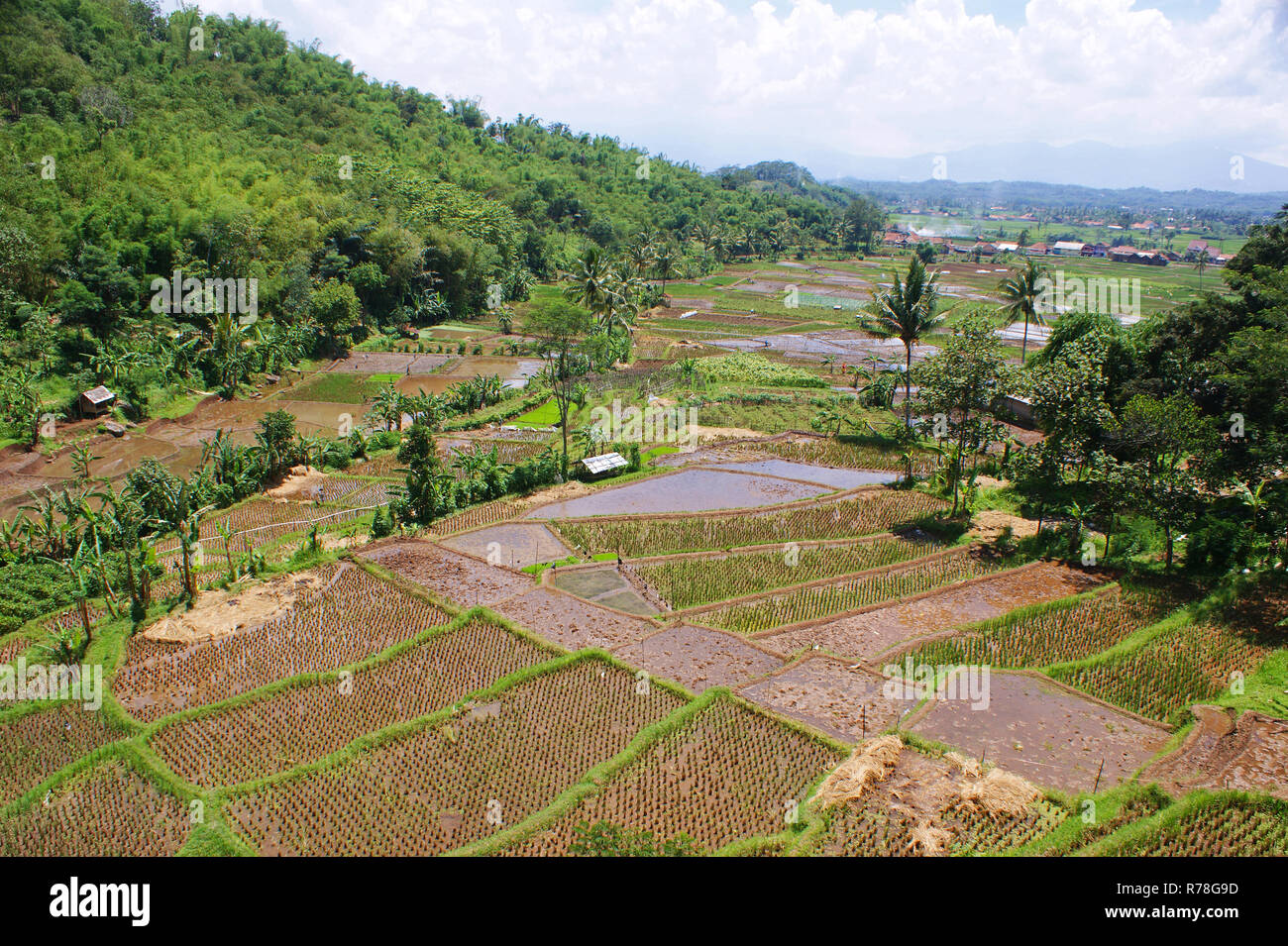 Kakdungora hi-res stock photography and images - Alamy