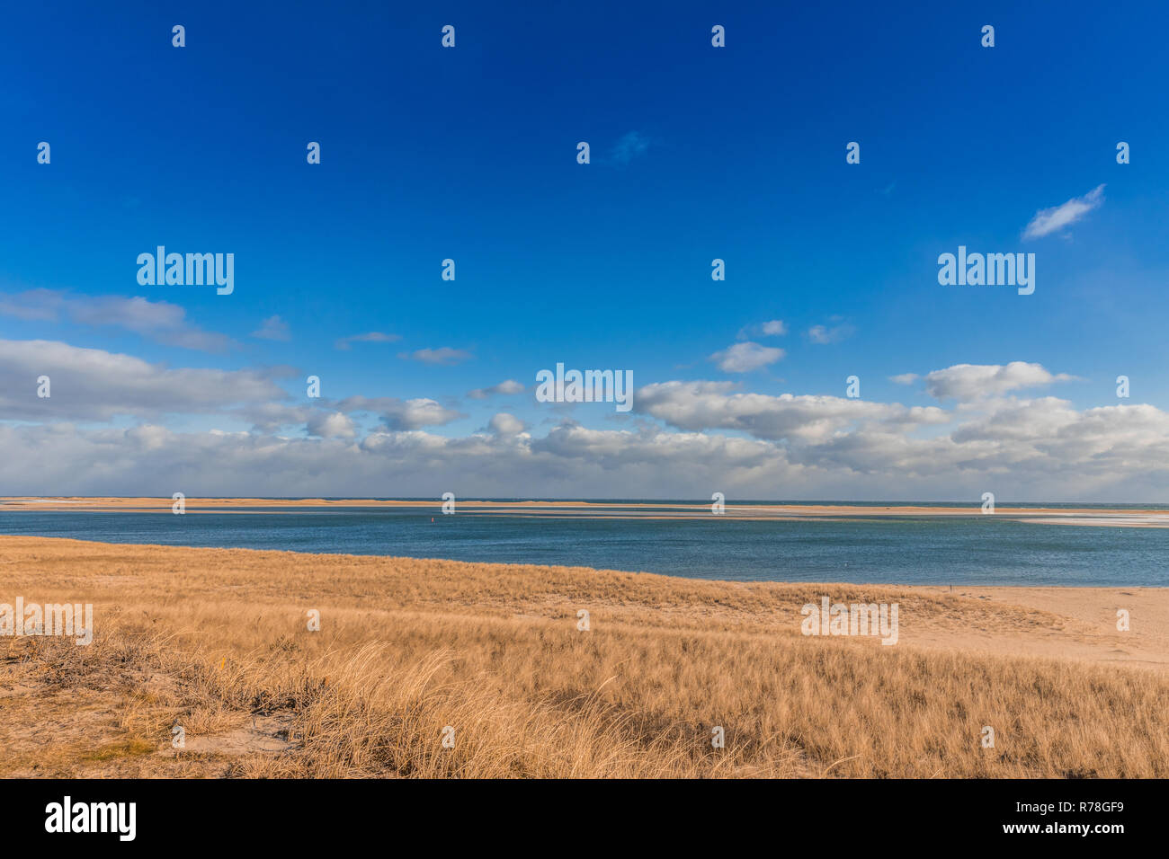 Coastline with sandy beach at Cape Cod in winter. USA Stock Photo - Alamy
