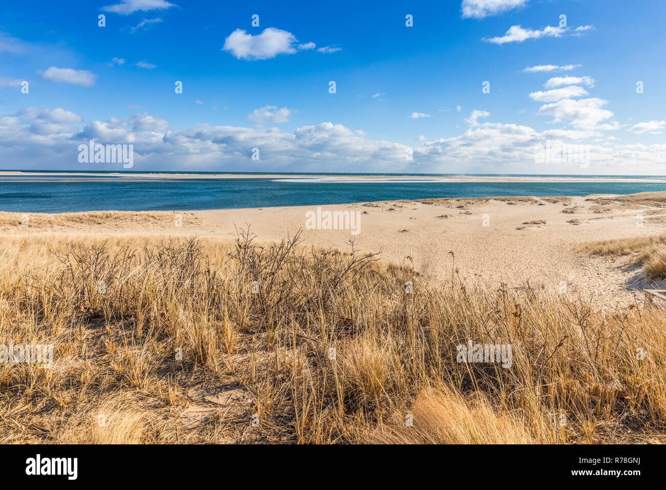 Cape cod sea grass hi-res stock photography and images - Alamy