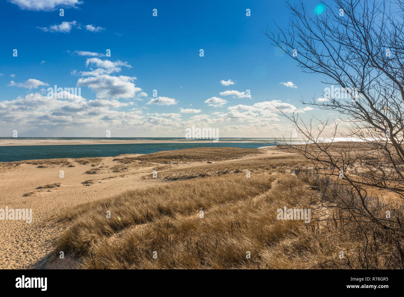 Coastline with sandy beach at Cape Cod in winter. USA Stock Photo - Alamy