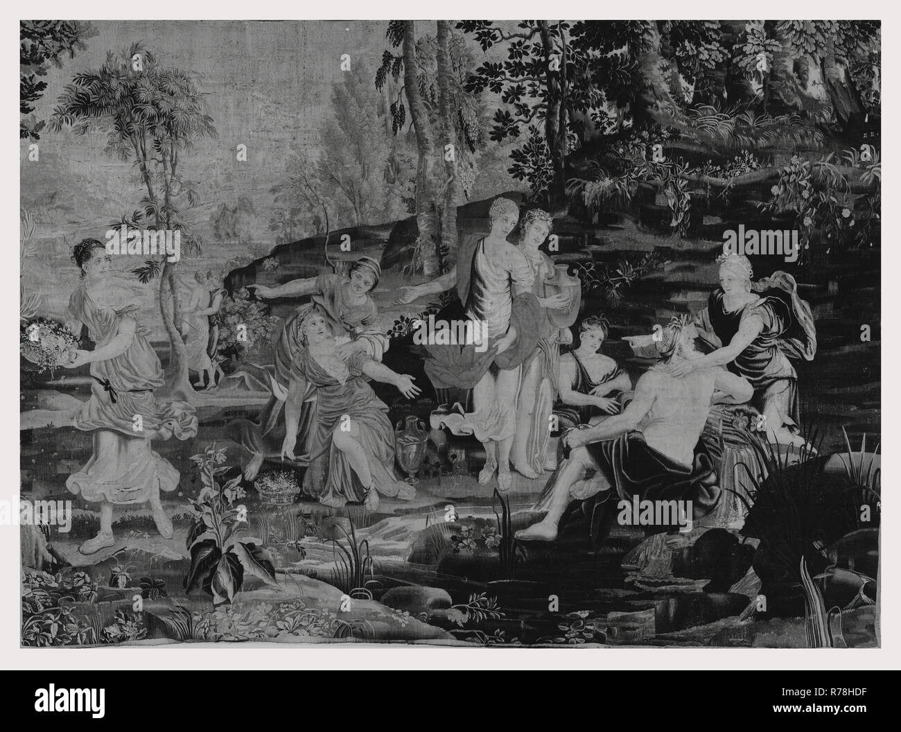 Peneus hi-res stock photography and images - Alamy