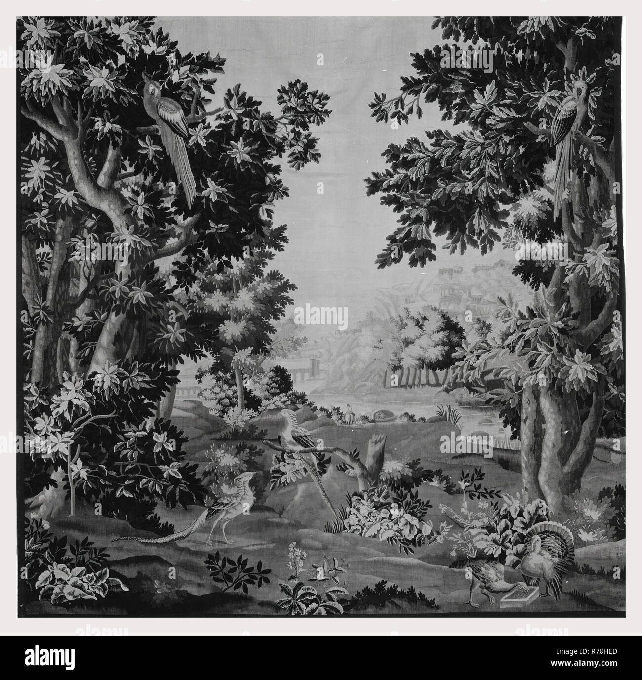 Gathering of birds hi-res stock photography and images - Alamy