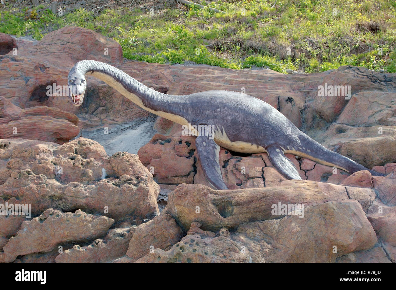 Plesiosaur hi-res stock photography and images - Alamy