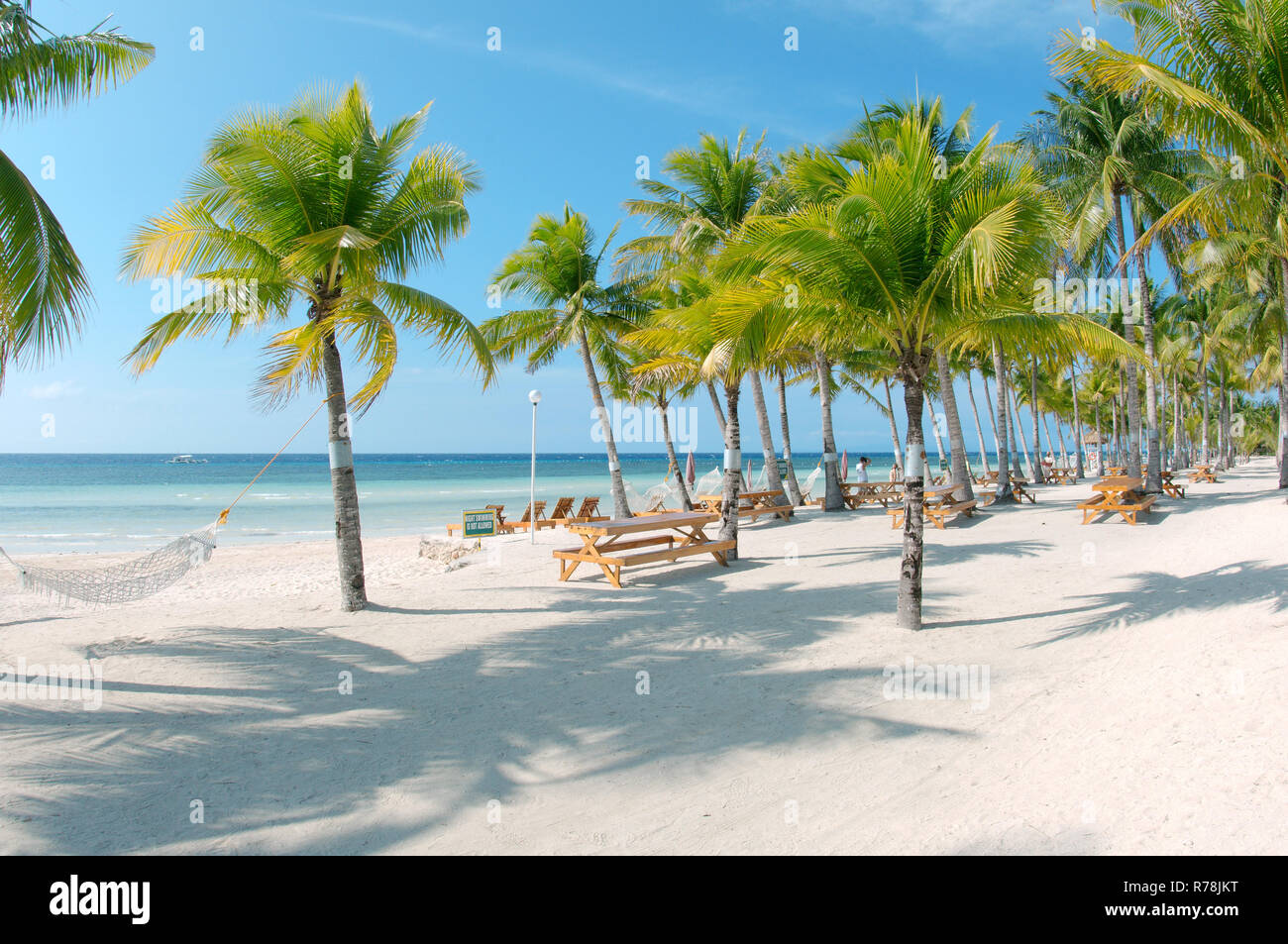 Sandy beach with palm trees, Bohol Island, Philippines Stock Photo - Alamy