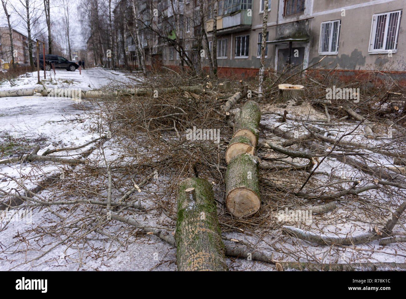 fallen tree branches at the front yard of the house Stock Photo - Alamy