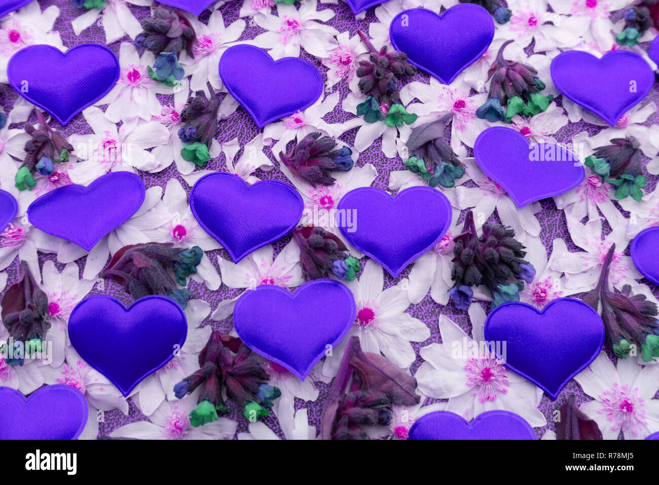 blue heart on a white background colorful cyan Stock Photo - Alamy