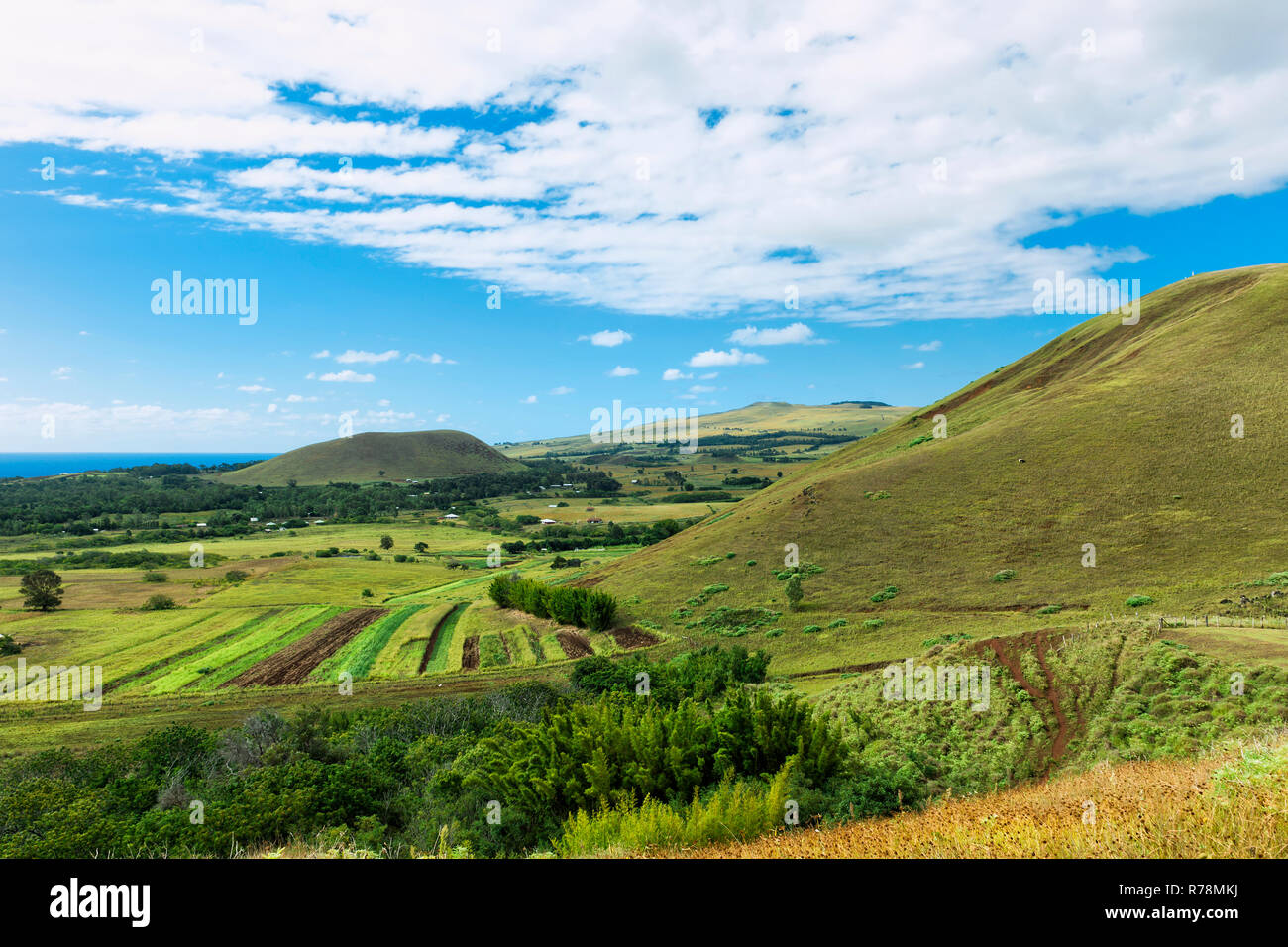 Puna pau chile hi-res stock photography and images - Alamy