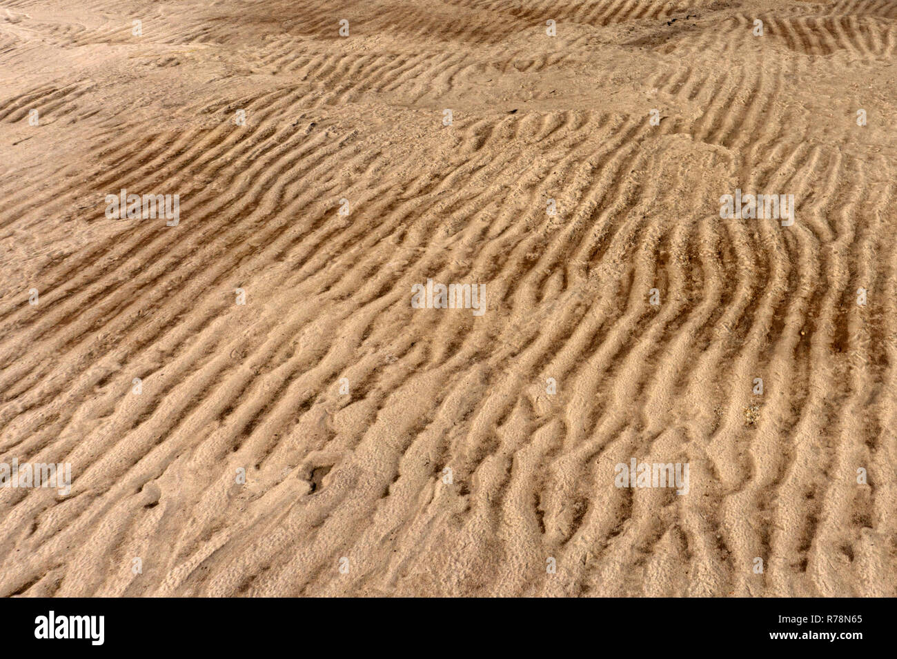 Wet sand with traces of water. The texture of the sandy surface after ...