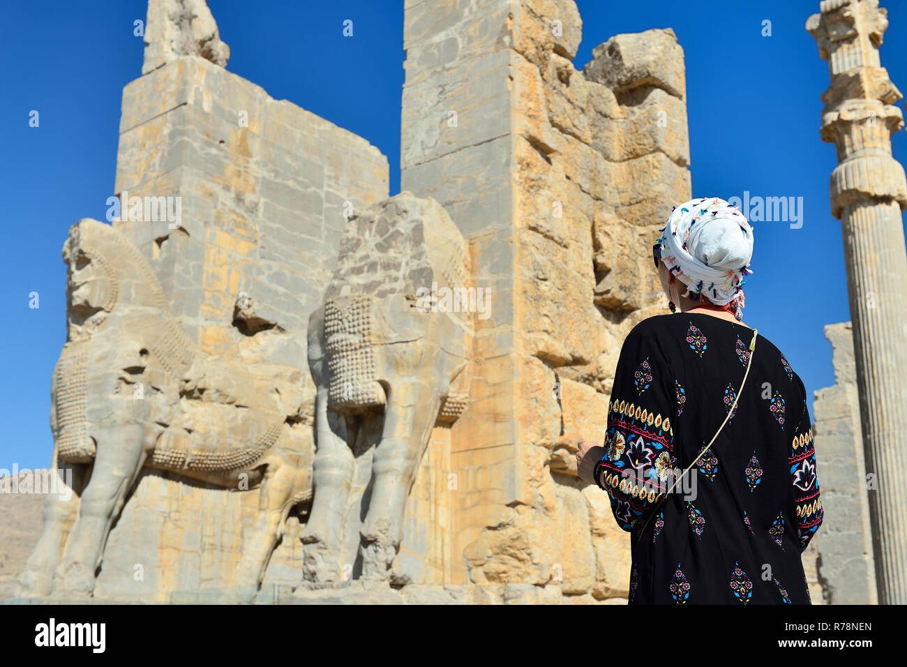 Iran, The beautiful reliefs in the ruins of Ancient Persepolis Complex ...