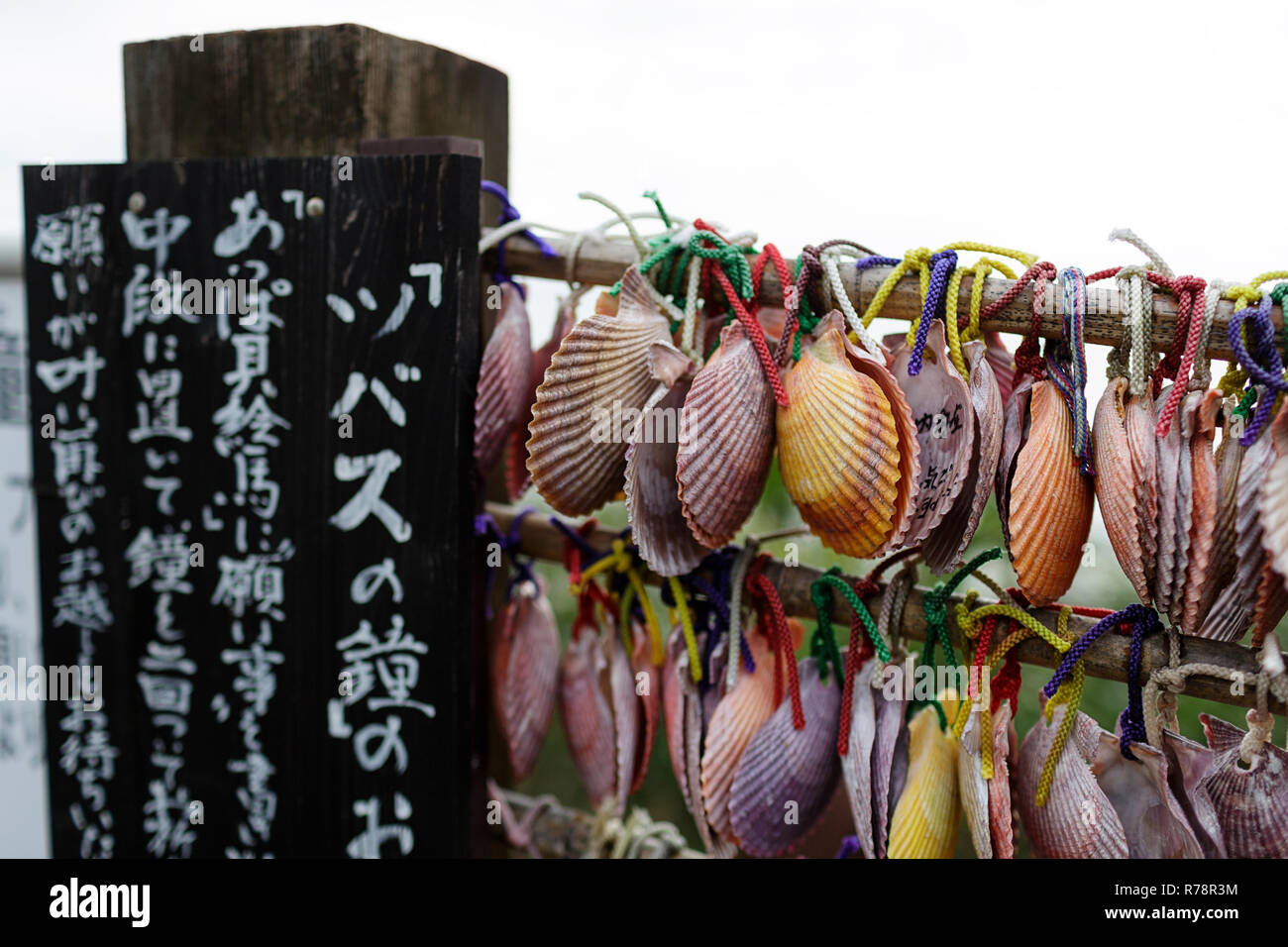 Wishes written on shells, JApan Stock Photo - Alamy